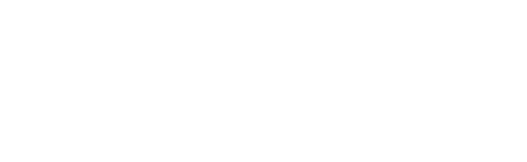 Vertex System